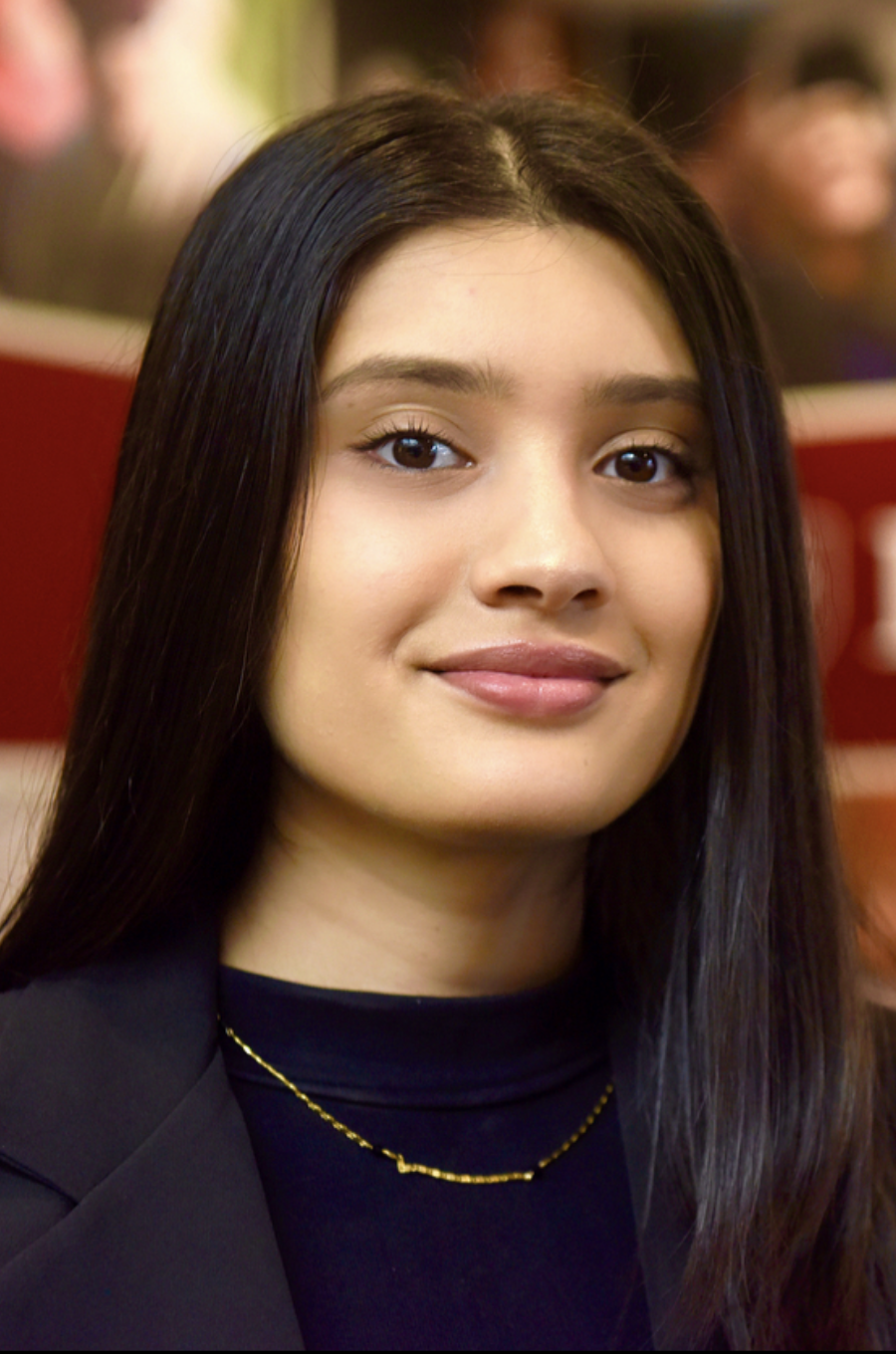 Co-Chairs Lead MIP 1L Summer Associate Program, 12 Law Students ...